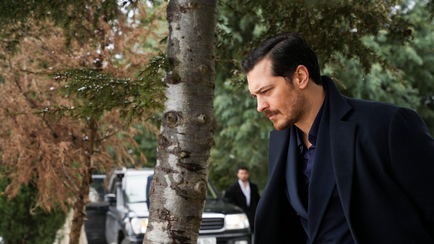 Esref Rüya (series, 2025 – ...)