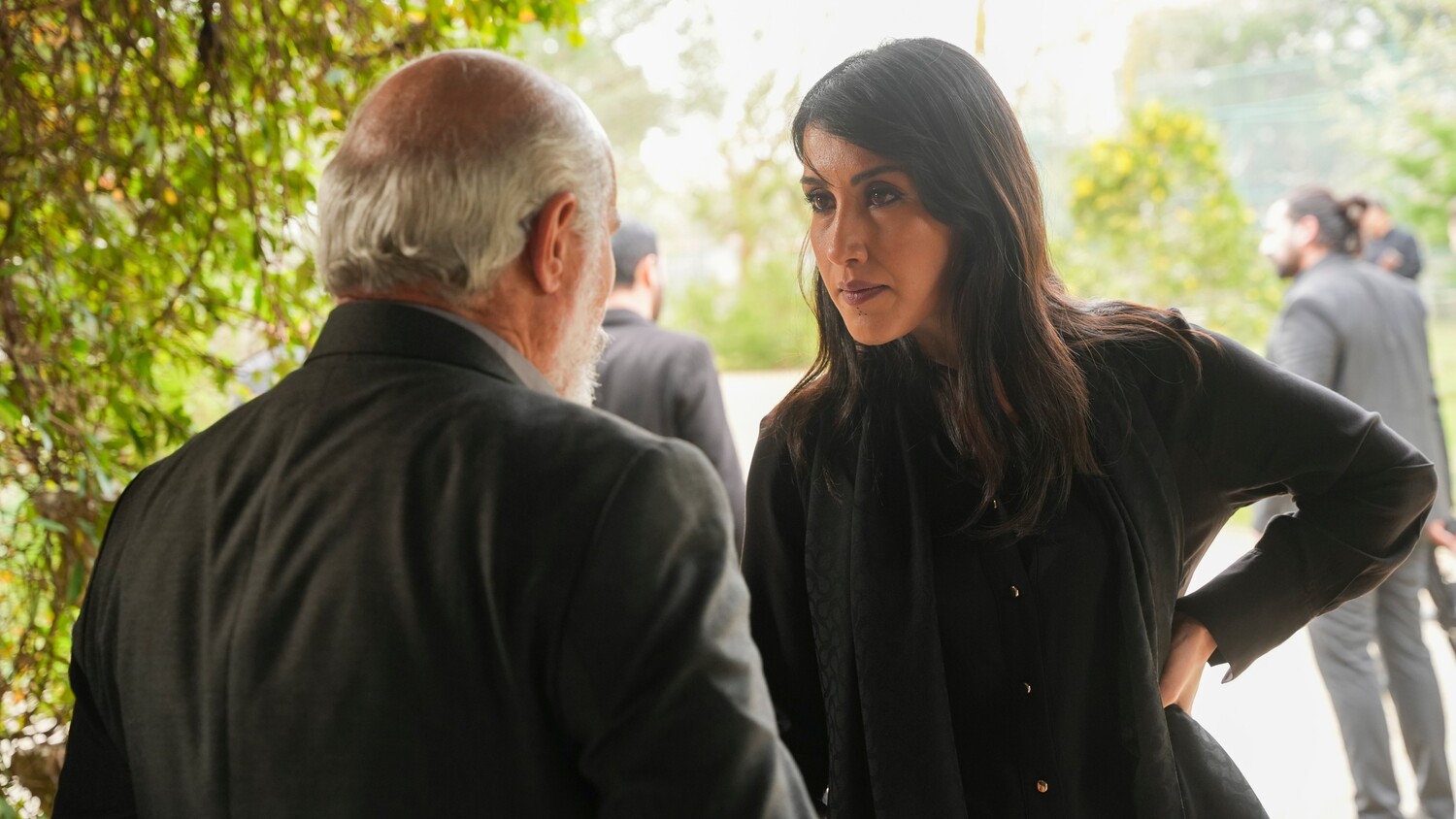 Esref Rüya (series, 2025 – ...)