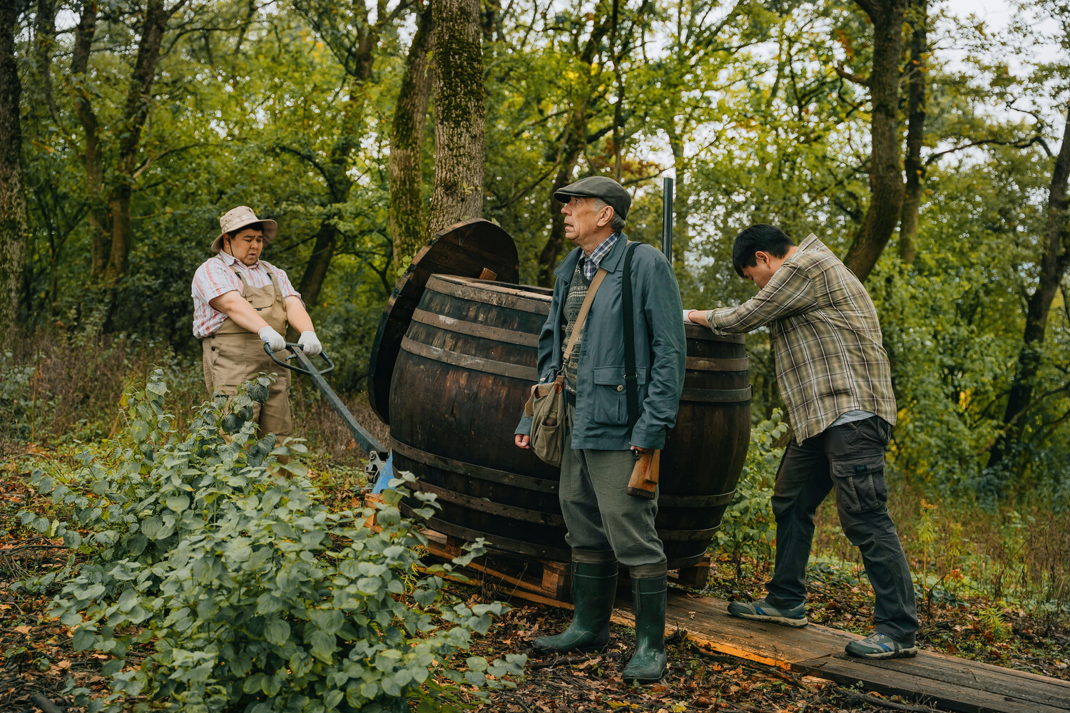 Vinodely (series, 2025 – ...)