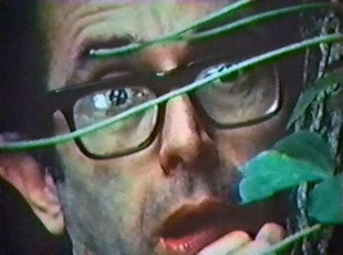 Unwilling Lovers (movie, 1977)