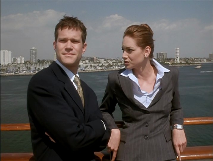 Heidi Schanz - actress - biography, photo, best movies and TV shows