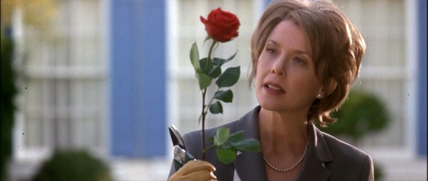Screenshots - American Beauty