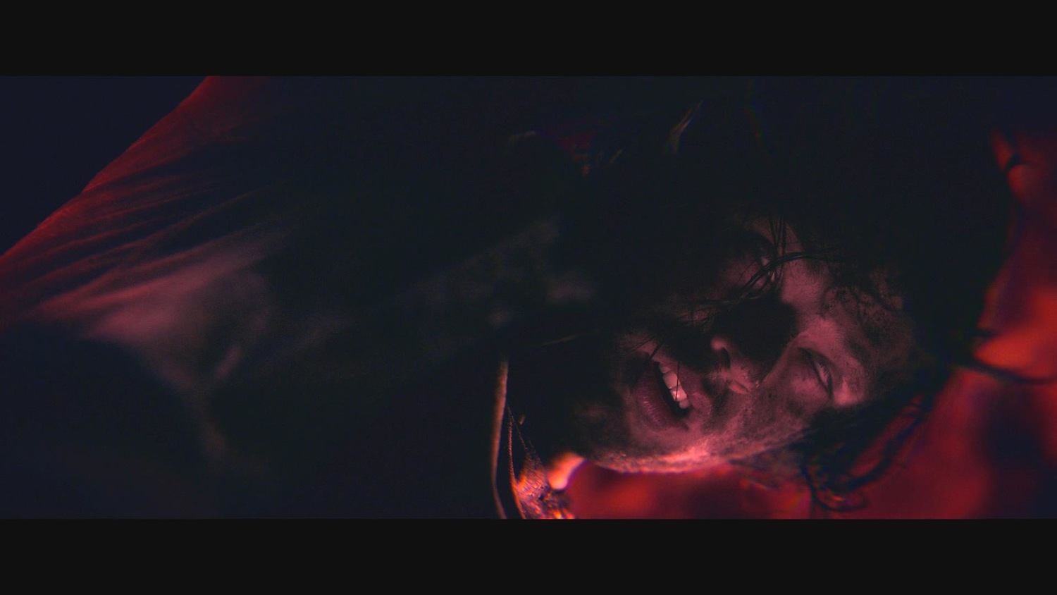 In the Tall Grass (movie, 2019)