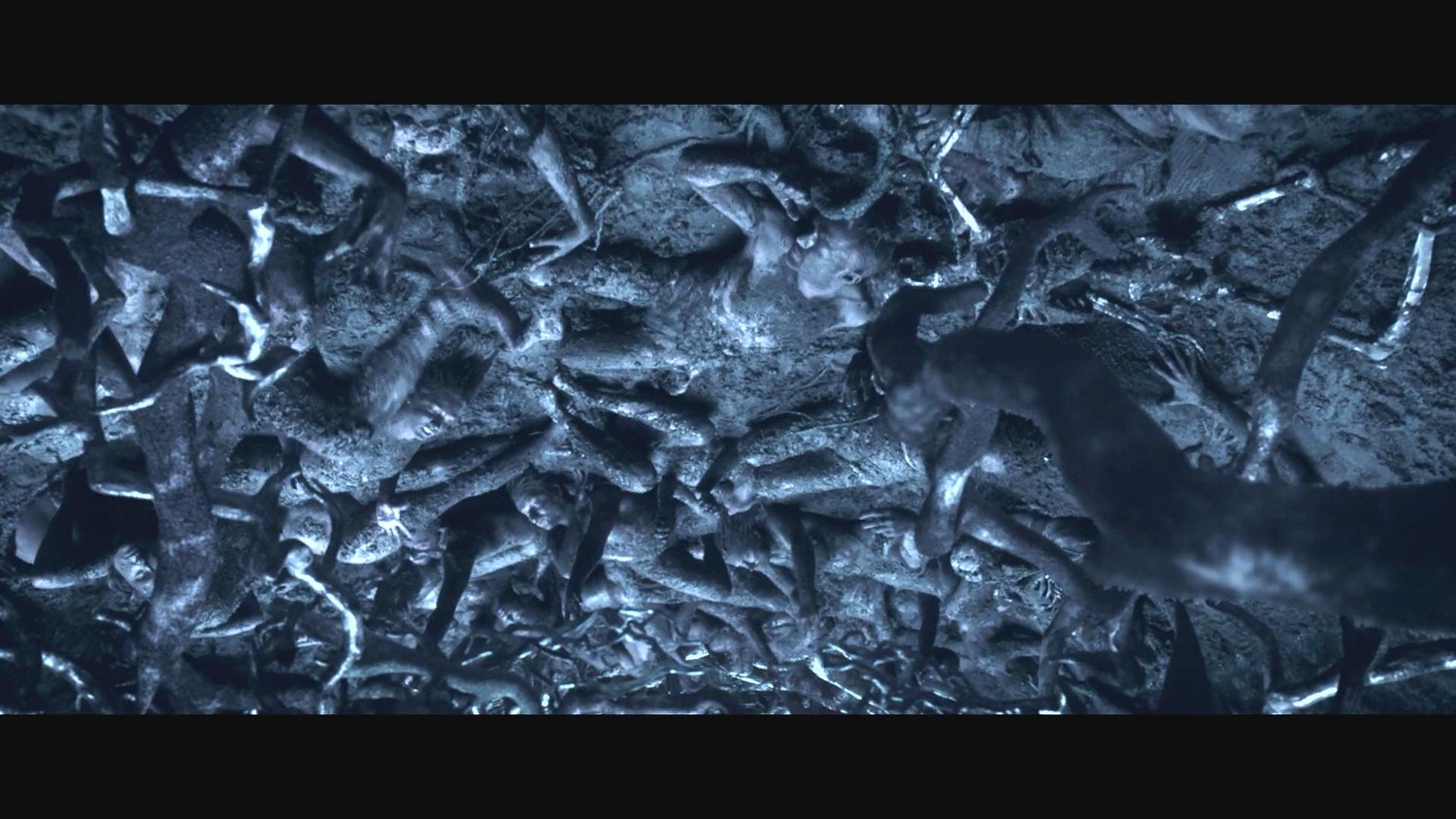 In the Tall Grass (movie, 2019)