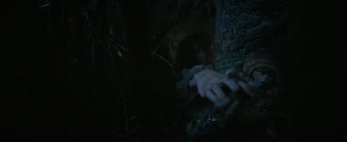 Freddie Wise - actor - biography, photo, best movies and TV shows