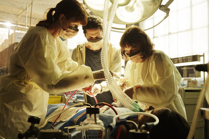 Stephanie Belding - actress - biography, photo, best movies and TV shows