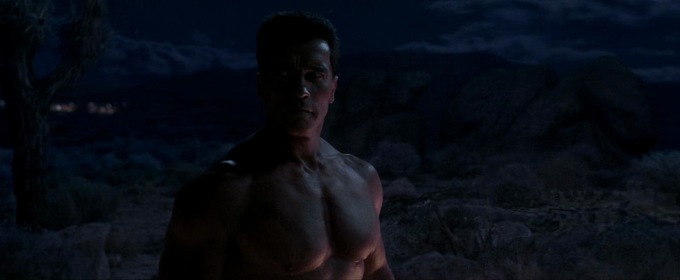 Arnold Schwarzenegger Terminator 3 Body
