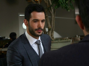 Love for Rent (series, 2015 – 2017)