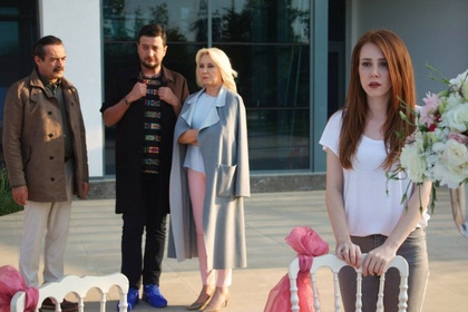 Love for Rent (series, 2015 – 2017)