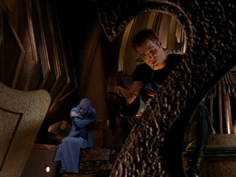 Virginia Hey - actress - biography, photo, best movies and TV shows