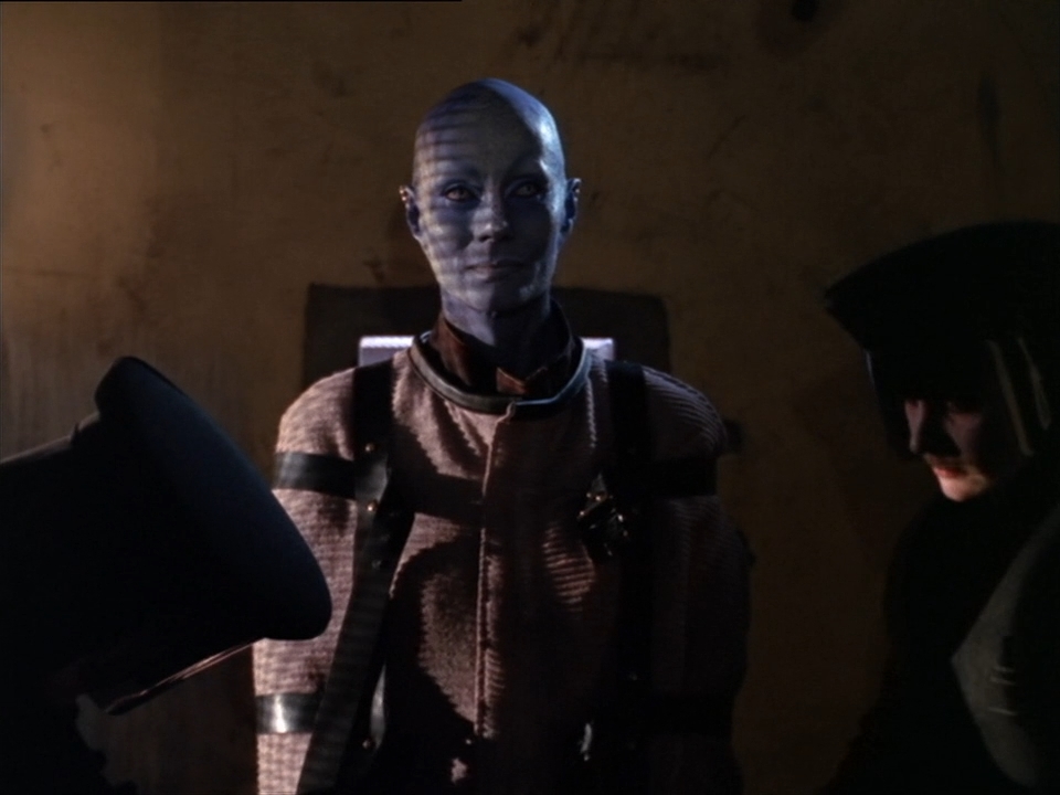 Virginia Hey - actress - biography, photo, best movies and TV shows