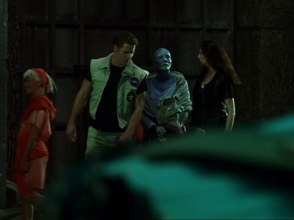 Virginia Hey - actress - biography, photo, best movies and TV shows