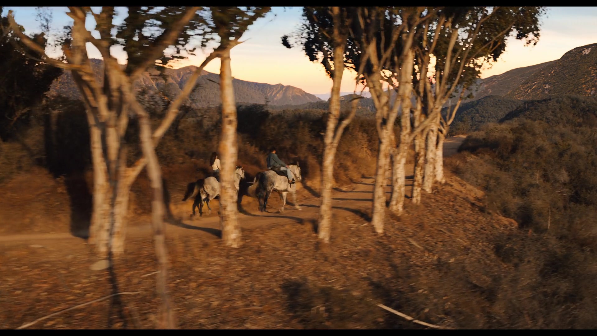 Tanner Buchanan - actor - biography, photo, best movies and TV shows