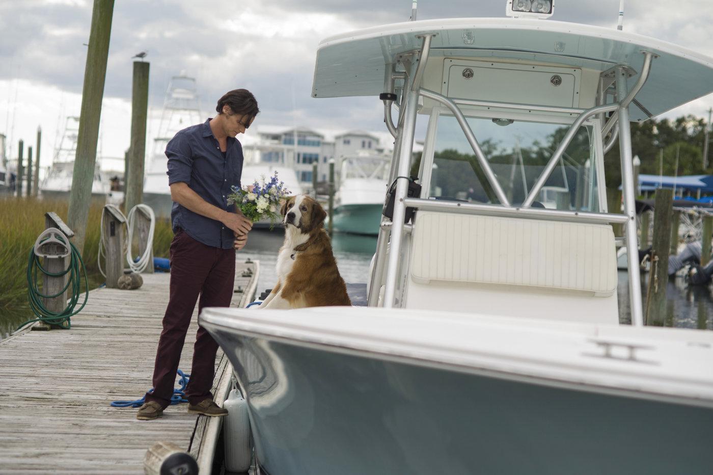 The Choice (movie, 2016)