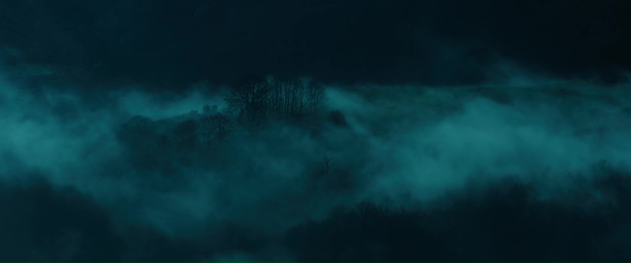 The Invisible Guardian (movie, 2017)