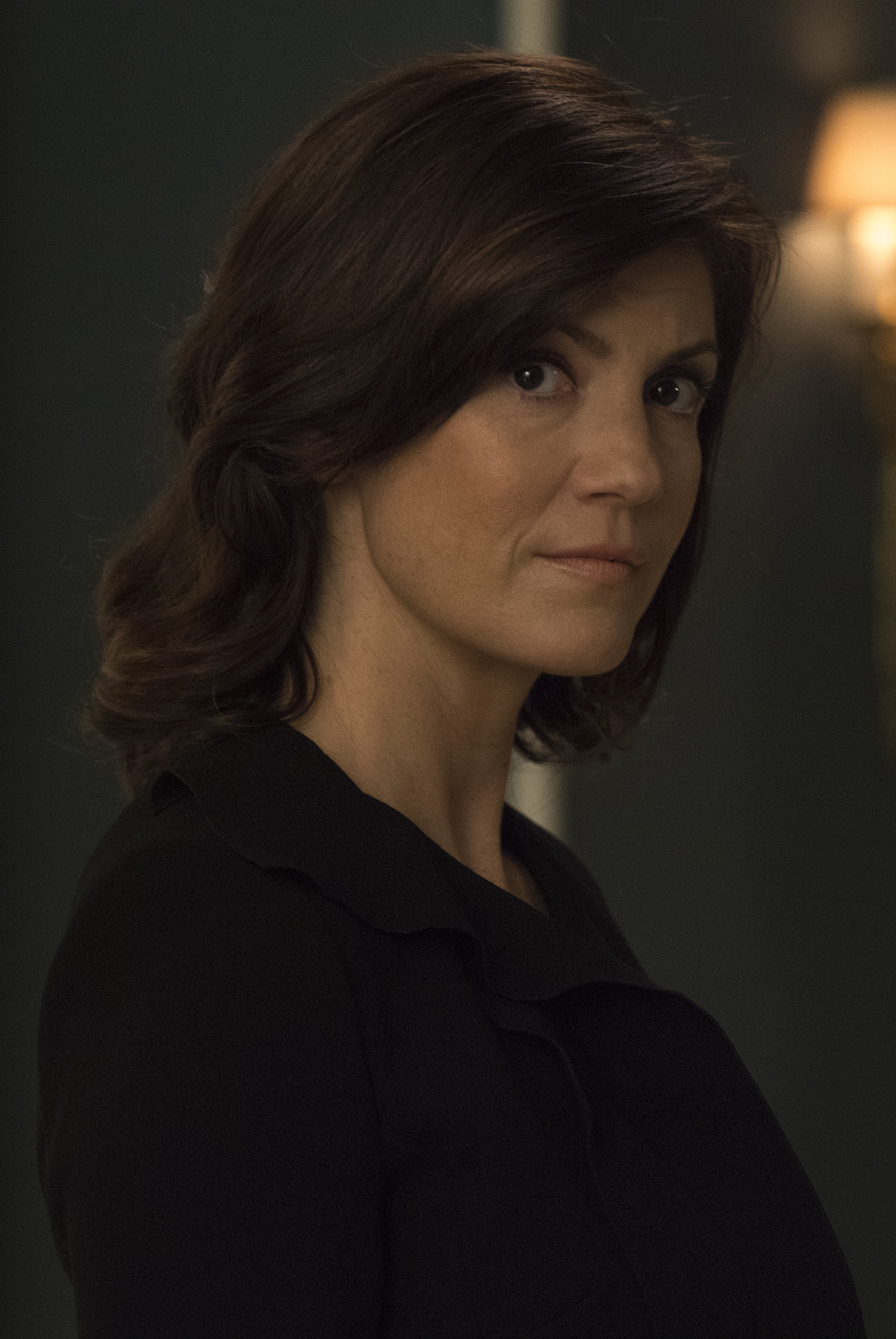 Zoe McLellan - actress - biography, photo, best movies and TV shows