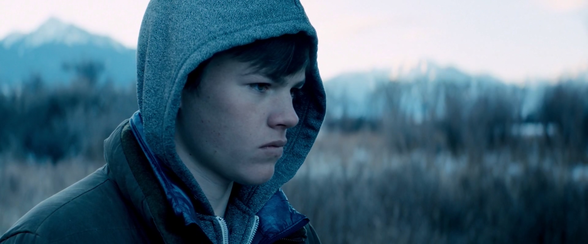 Josh Wiggins - actor - biography, photo, best movies and TV shows