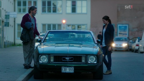 Julia Ragnarsson - actress - biography, photo, best movies and TV shows