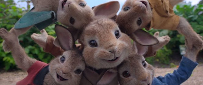 Screenshots - Peter Rabbit