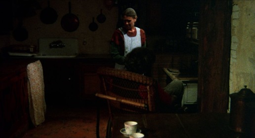 Memories Within Miss Aggie (movie, 1974)