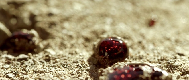 Screenshots - Hunting Emma