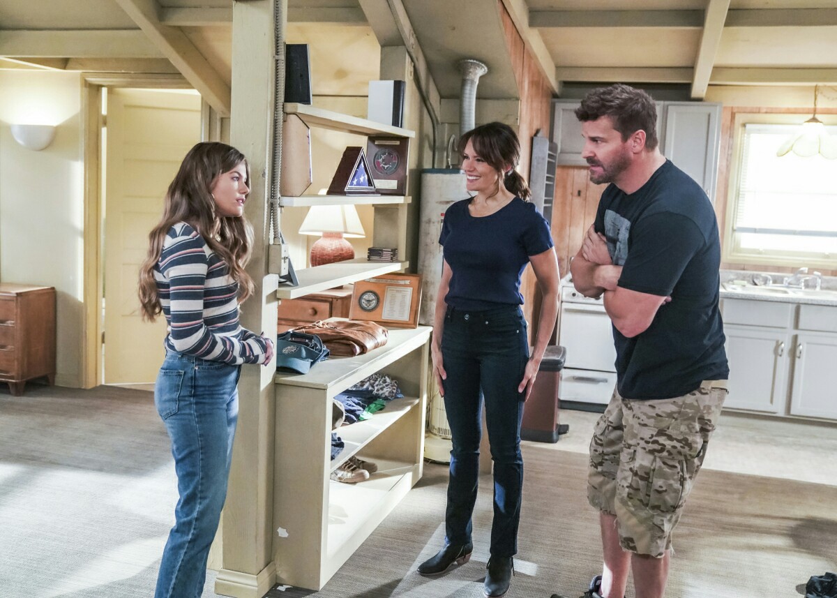 Emily Swallow - actress - biography, photo, best movies and TV shows