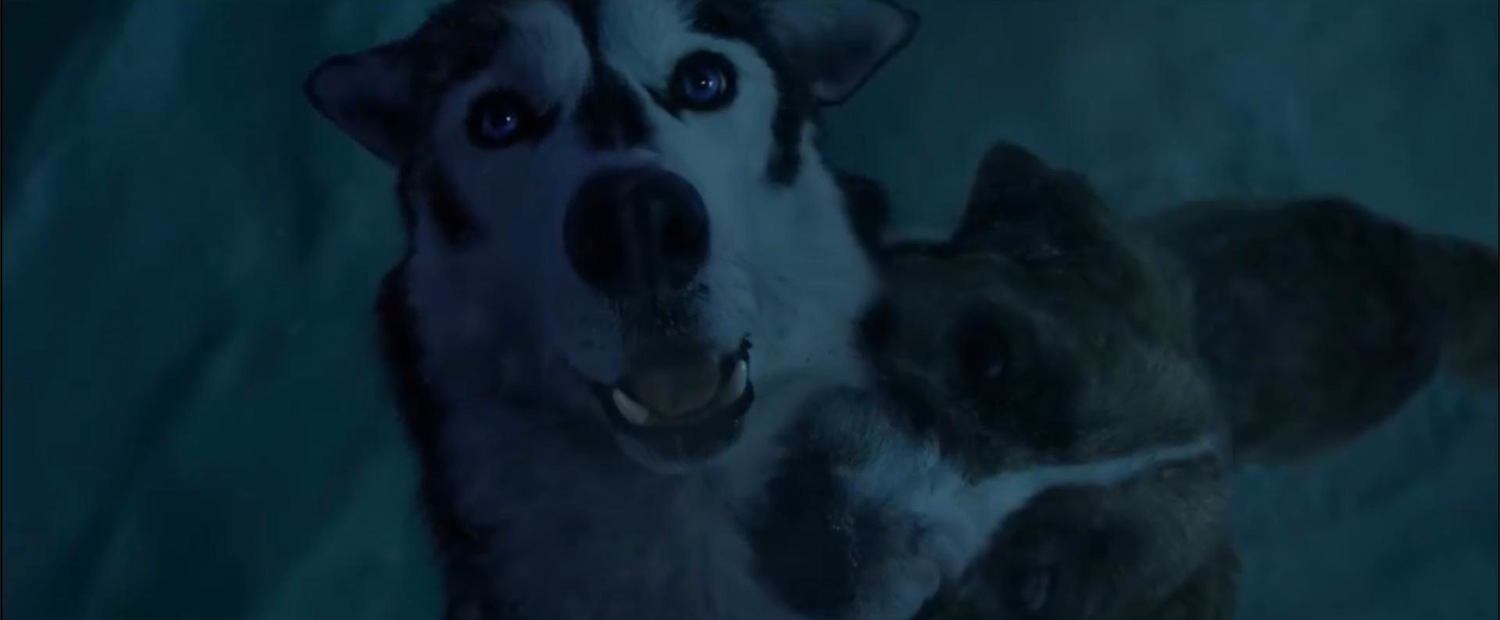 Screenshots - The Call of the Wild