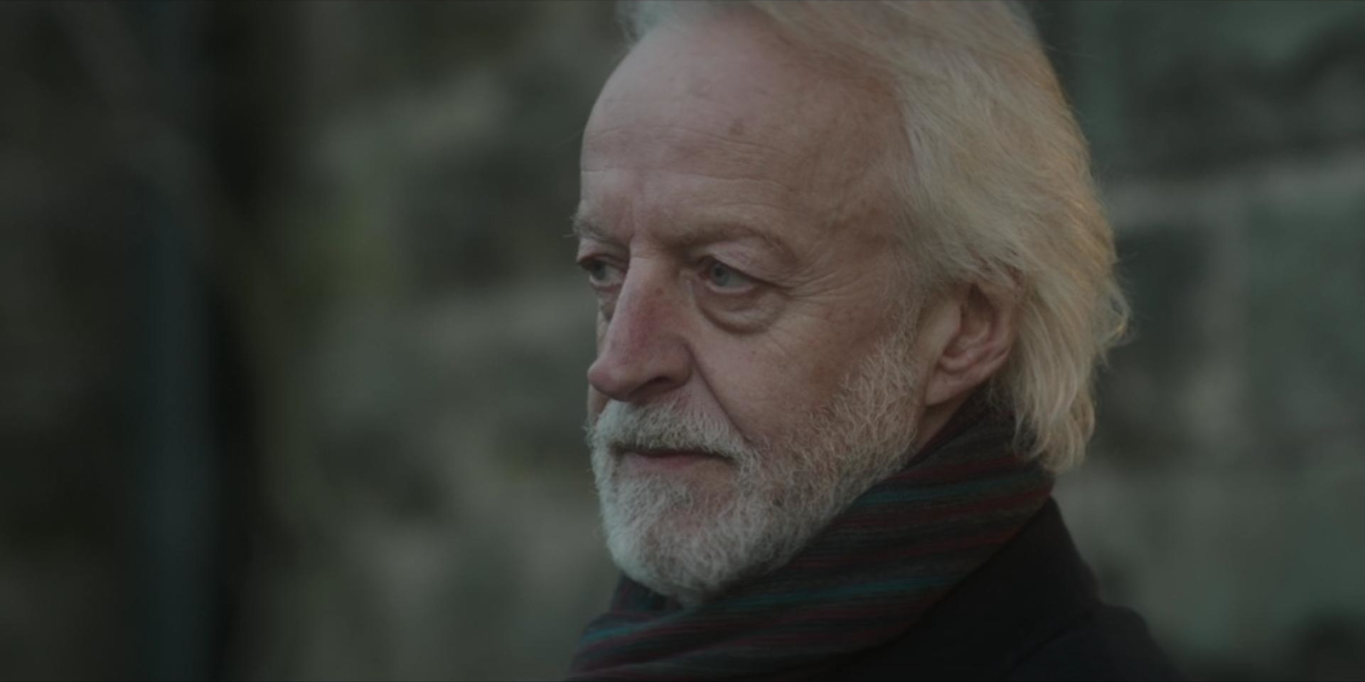 Paul Bown - actor - biography, photo, best movies and TV shows