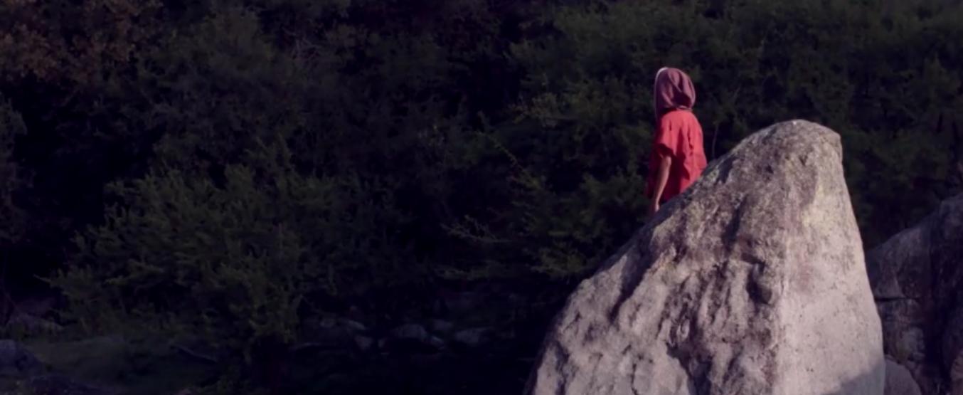 Screenshots - Rejected