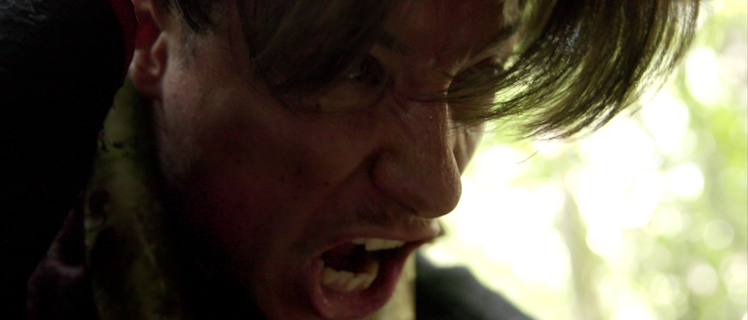 Screenshots - Scarecrow's Revenge