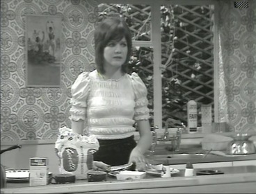 Sally Geeson - actress - biography, photo, best movies and TV shows