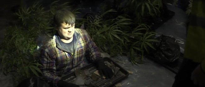 Tom Hanson - actor - biography, photo, best movies and TV shows