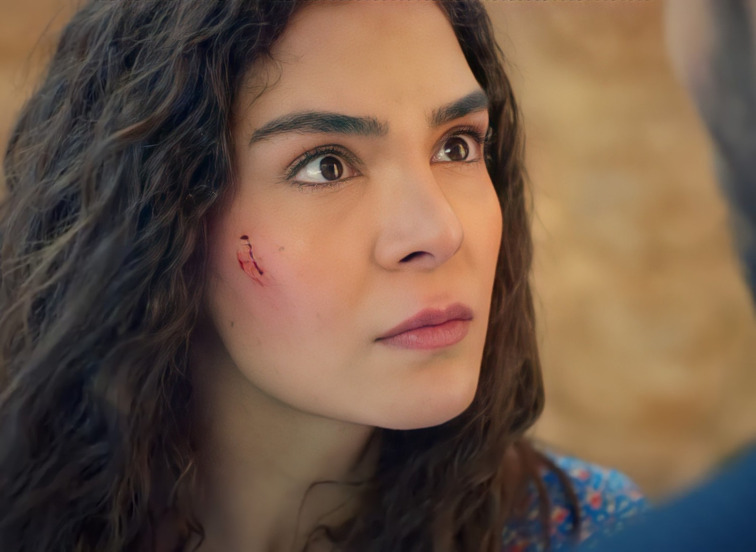 Stills - Inconstant Love