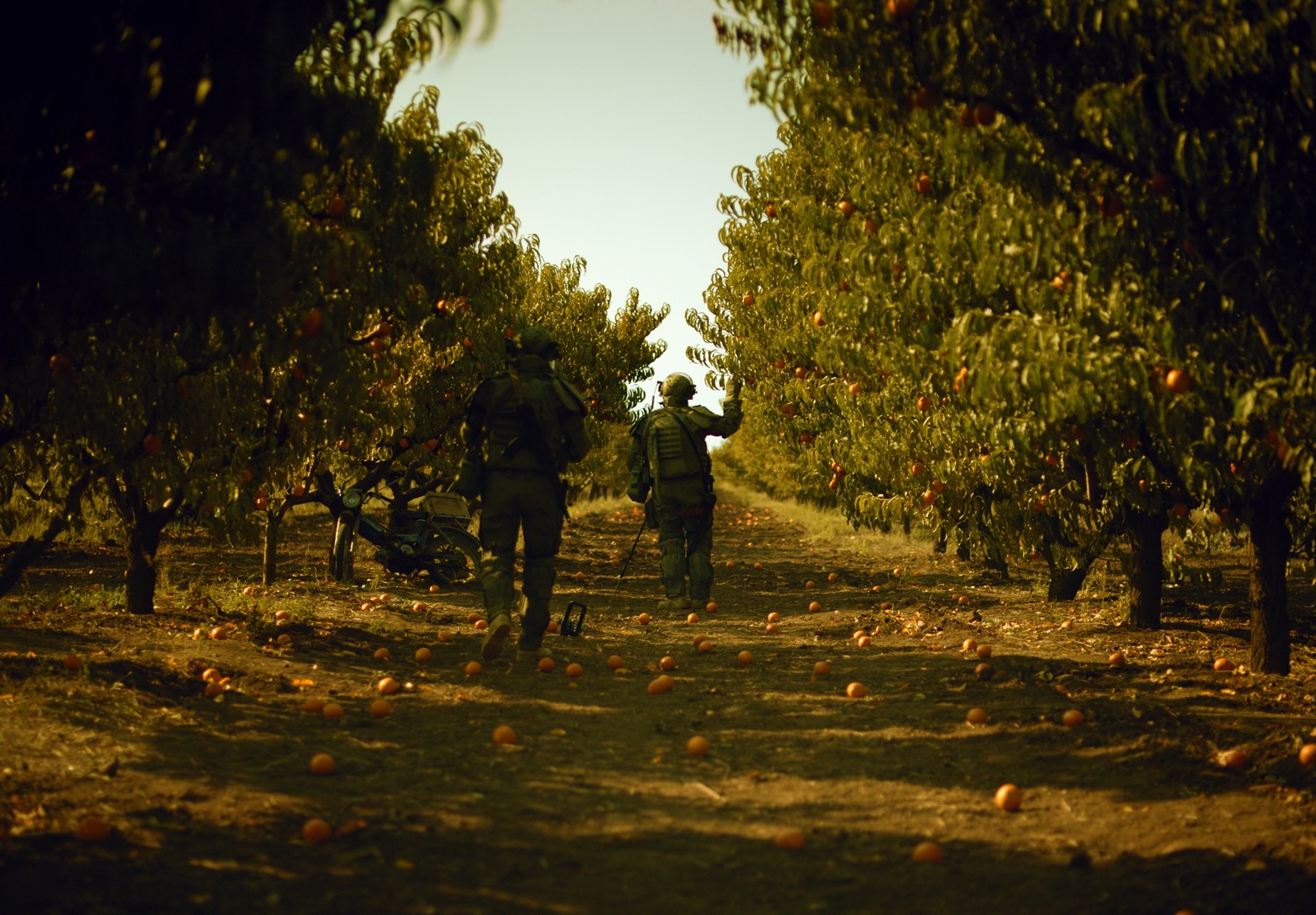 Once in the Desert (movie, 2022)