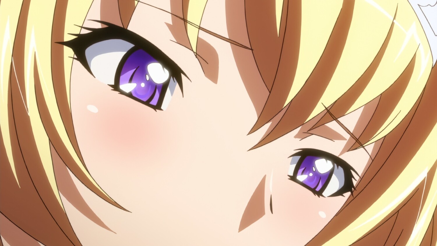 Kuroinu: Kedakaki Seijo wa Hakudaku ni Somaru (anime, 2012)