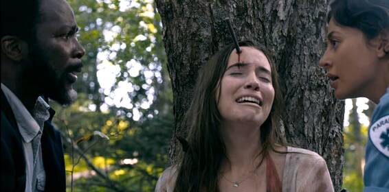 Phoebe Rex - actress - biography, photo, best movies and TV shows