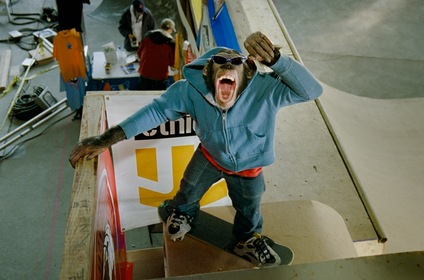 MVP: Most Vertical Primate (movie, 2001)