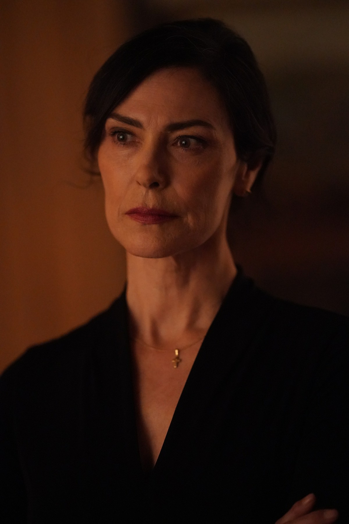 Michelle Forbes - actress - biography, photo, best movies and TV shows
