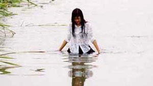 Photos - All About Lily Chou-Chou