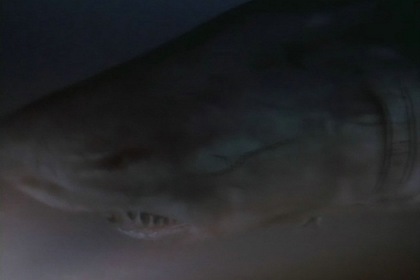 Shark Hunter (movie, 2001)