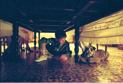 Two Brothers (movie, 2004)