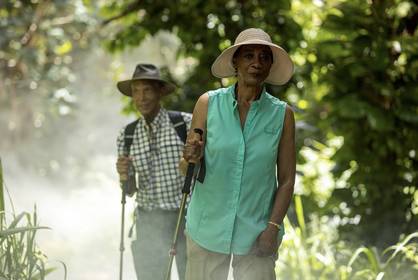 David Moses - actor - biography, photo, best movies and TV shows