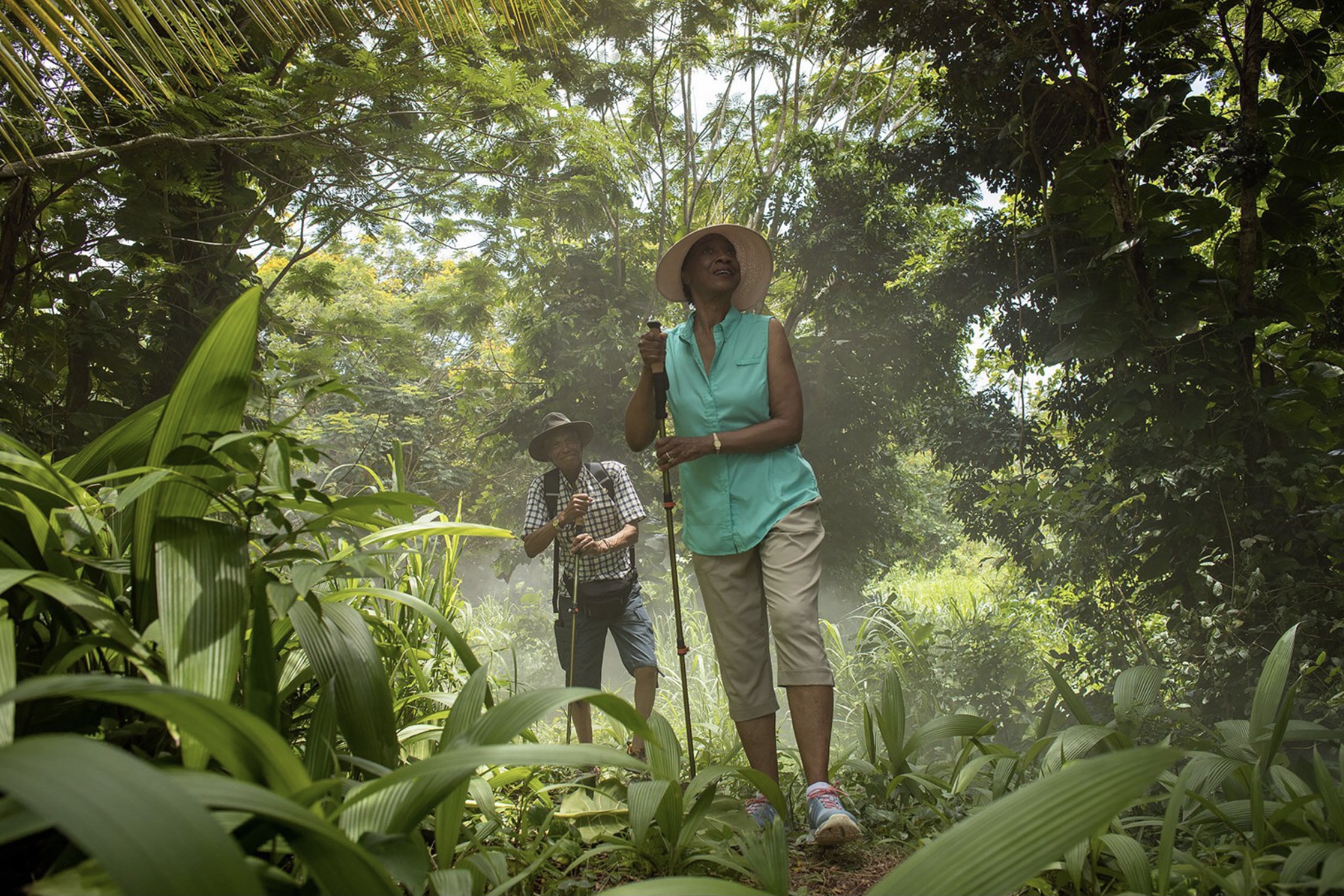 David Moses - actor - biography, photo, best movies and TV shows