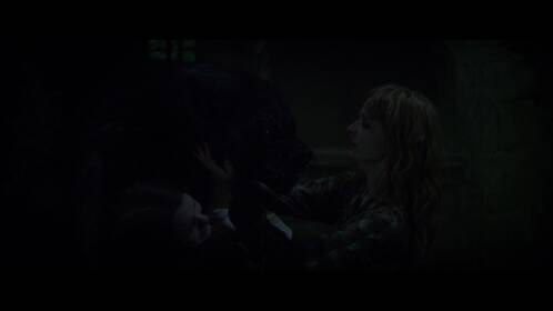 Stills - The Beast Within
