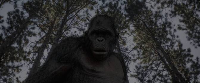 Screenshots - Devolution