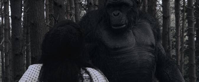 Screenshots - Devolution