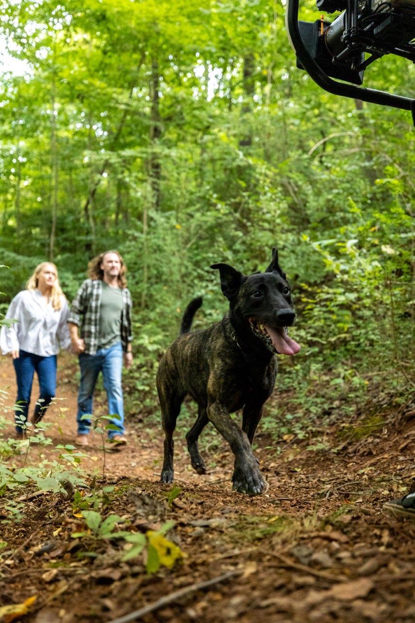 Jake McLaughlin - actor - biography, photo, best movies and TV shows