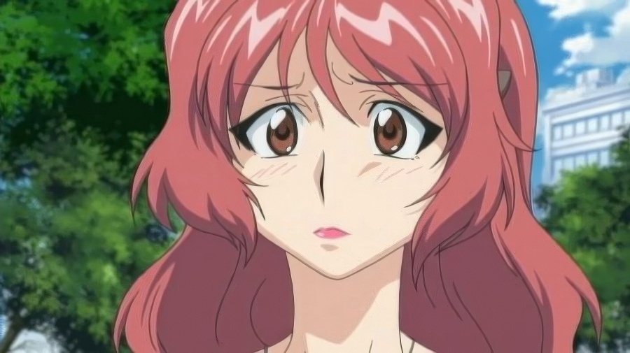 Lover-in-Law (anime, 2008)