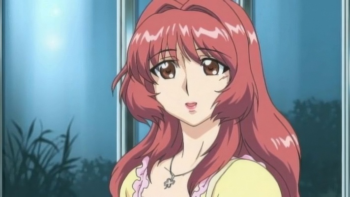 Lover-in-Law (anime, 2008)