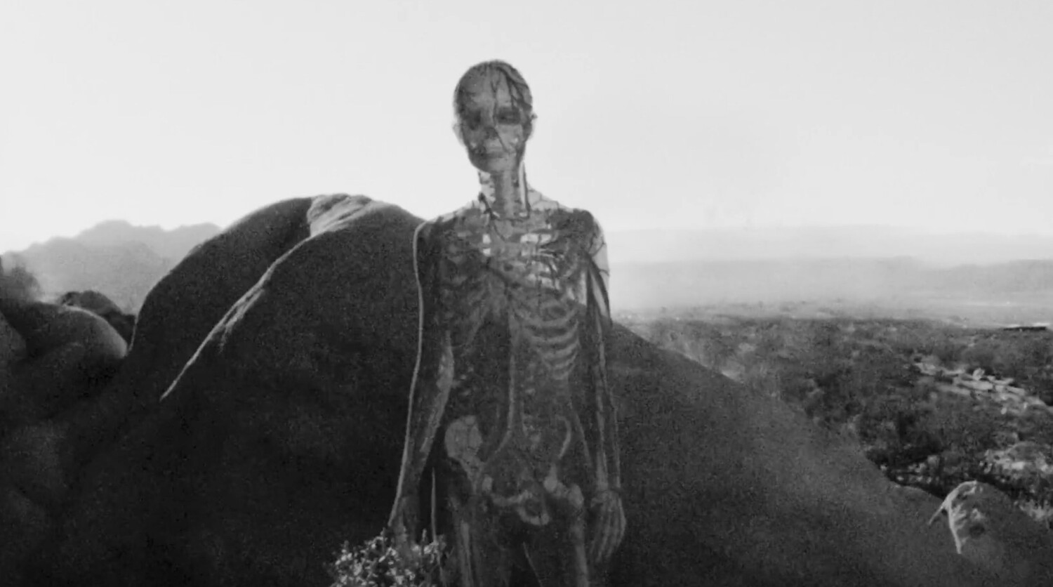 Divinity (movie, 2023)